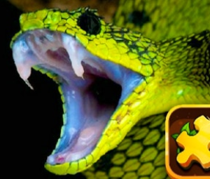 Agario - Play Agario On 1v1 LOL